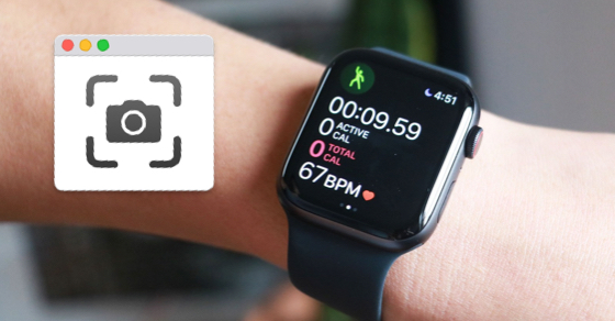 Quick and Easy Guide: How to Capture Screenshots on Apple Watch - Mytour