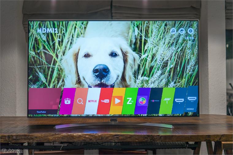 Common Panel Types on TVs