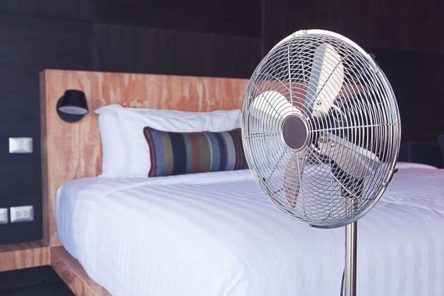 Chase Away Mosquitoes with 5 Simple Tips