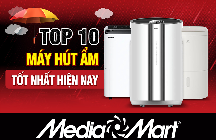 Top 10 Best-Selling Dehumidifiers of the 2024 Damp Season