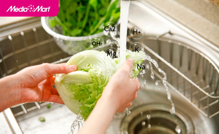 Is it advisable to use alkaline ionized water for washing fruits and ...
