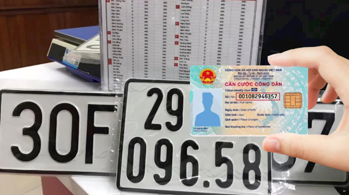 Essential Insights into Identification Plates