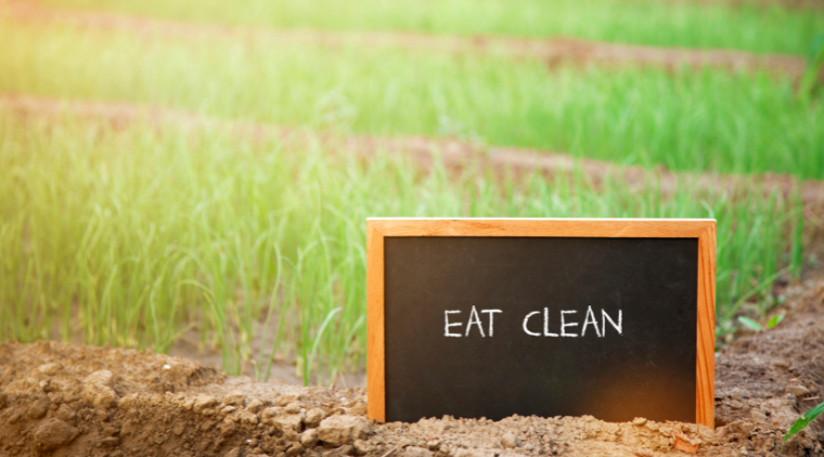 Understanding Eat Clean: 10 Vital Benefits You Should Know