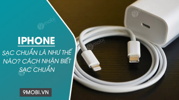 How to Check for Genuine Apple iPhone Charger