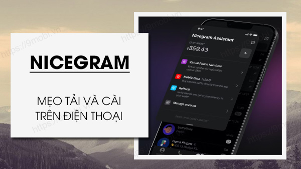 Installing Nicegram on Android and iPhone