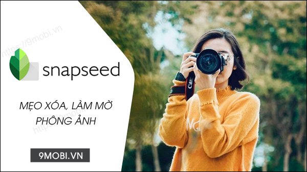 How to Remove Background with Snapseed, Quickly and Simply Blur Photo Background
