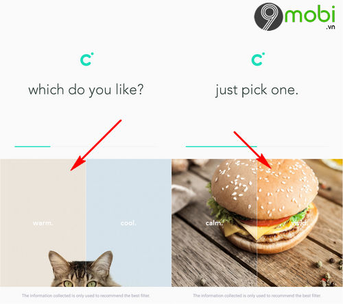 Transform Your Photos into Dazzling Masterpieces with Picai