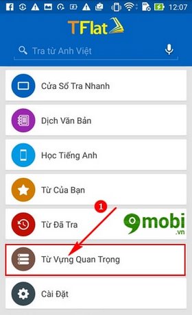 Explore irregular verbs in the TFLAT English-Vietnamese dictionary