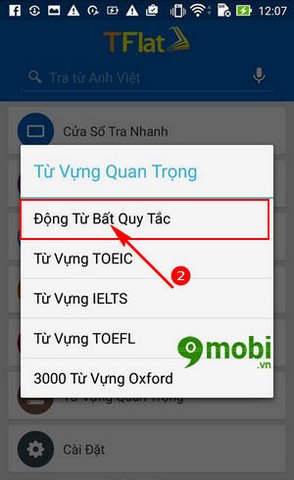 Explore irregular verbs in the TFLAT English-Vietnamese dictionary