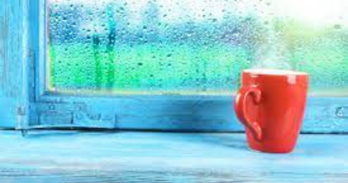 What is damp weather and how to care for your home in damp conditions?