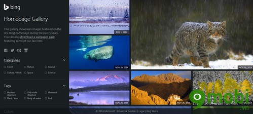 Transforming Bing search wallpapers into phone backgrounds