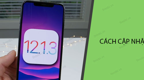 Updating iOS 12.1.3 for iPhone and iPad via iTunes and OTA