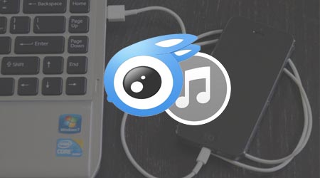 Fixing the issue of unable to copy music to iPhone using iTools ...