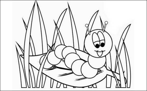 Coloring set for toddlers aged 1 to 5