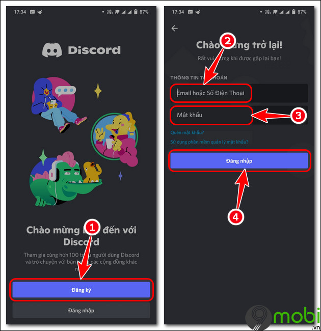 Discord Mobile Login Guide