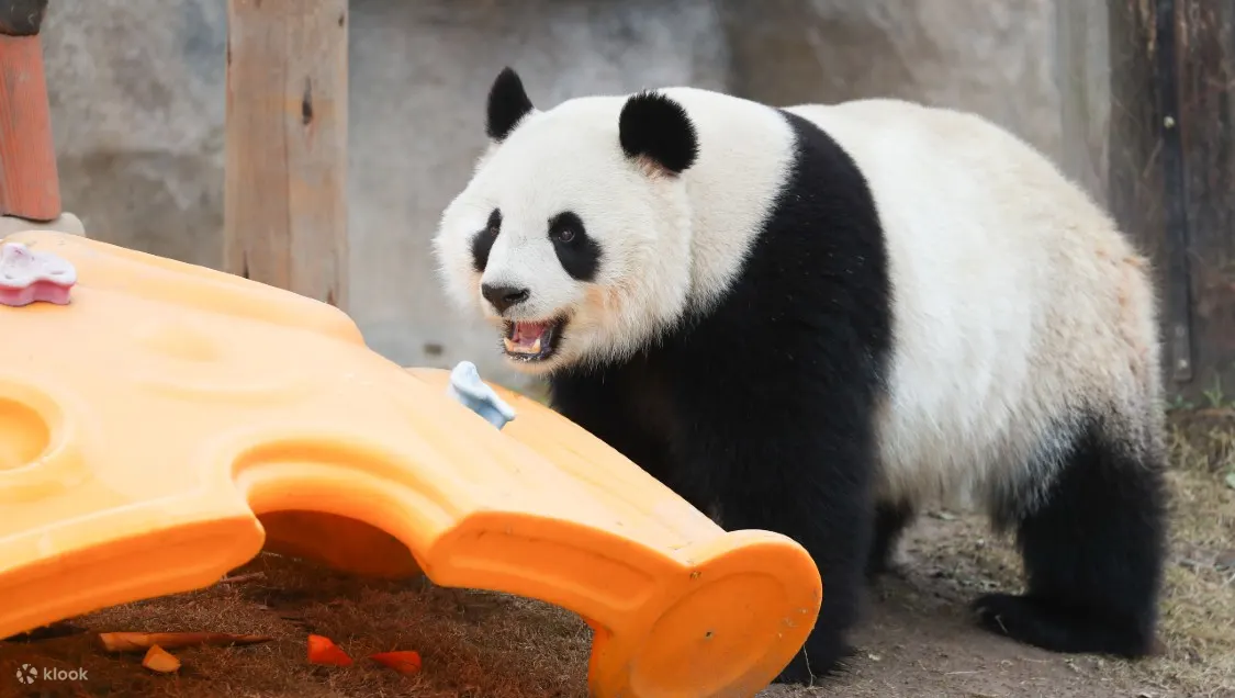 10 Amazing Shanghai Tourist Spots to Melt Your Heart - Mytour Blog