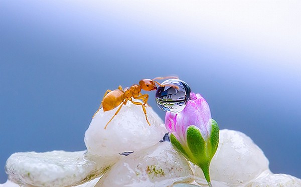 Download awesome, cute, unique, and adorable Facebook wallpapers