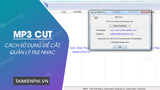 How to Use MP3 Cut for Music Trimming