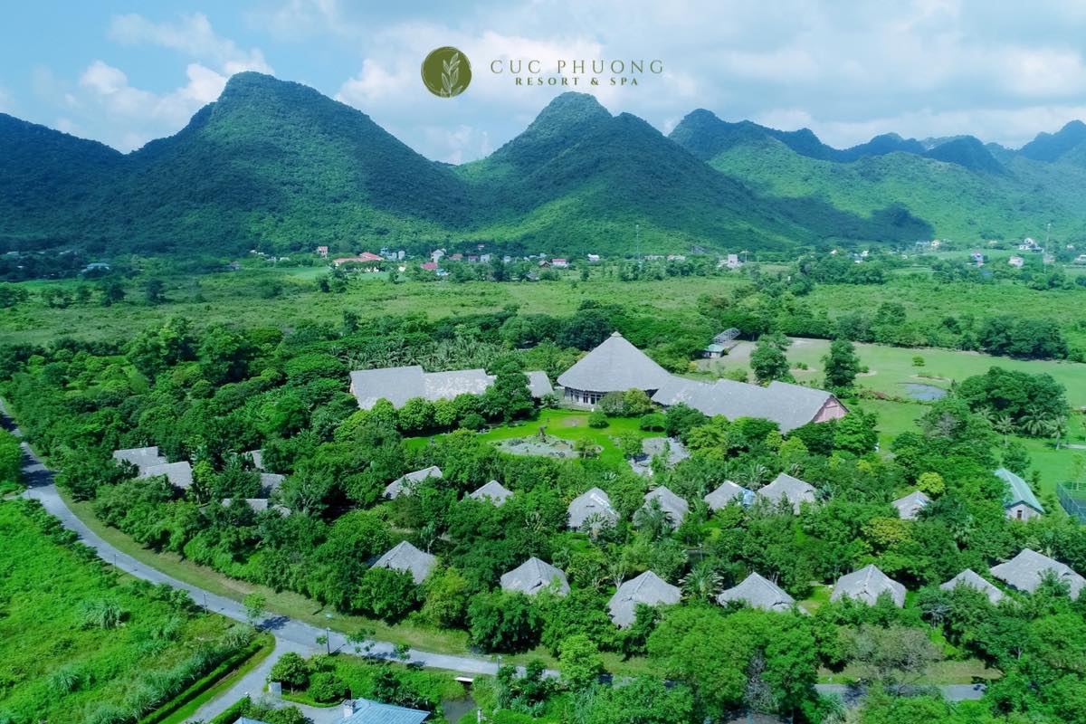 Immerse yourself in the serene beauty of nature at Cuc Phuong Ninh Binh ...