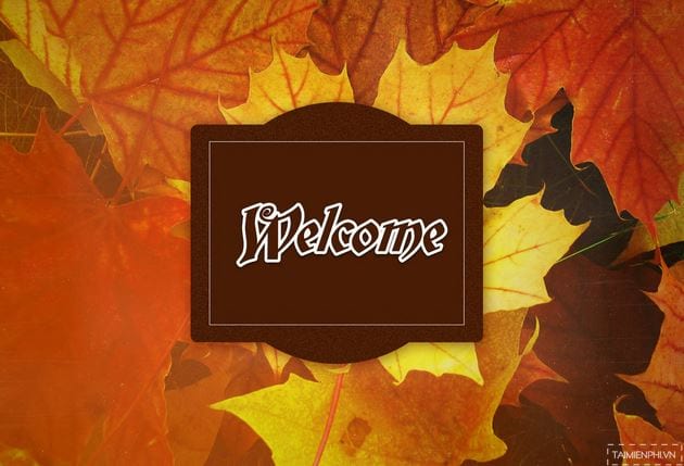 Discover the Most Beautiful PowerPoint Opening Backgrounds