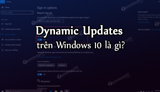 What is Dynamic Updates on Windows 10?