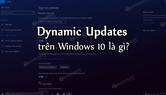 What is Dynamic Updates on Windows 10?