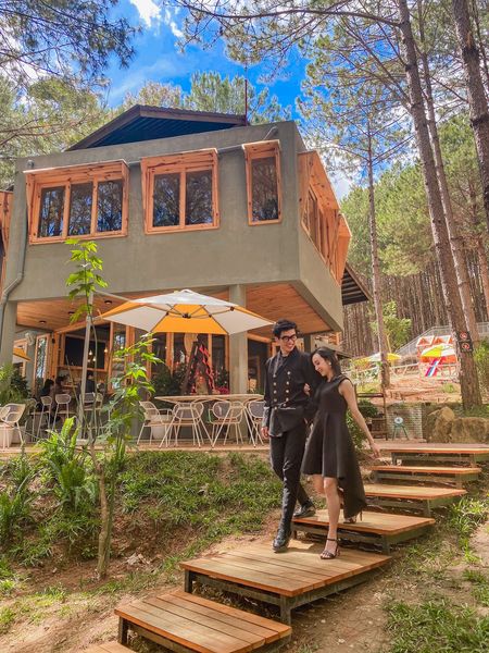 Romantic Rendezvous at Mơ Bistro Đà Lạt Amidst Enchanting Pine Forest Views - Mytour