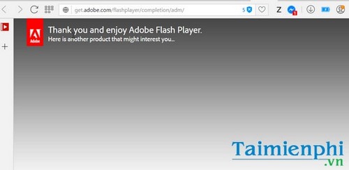 Installing Flash Player on Windows 10