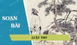 Explore the Poetry Law in depth, with detailed examples, for Grade 12