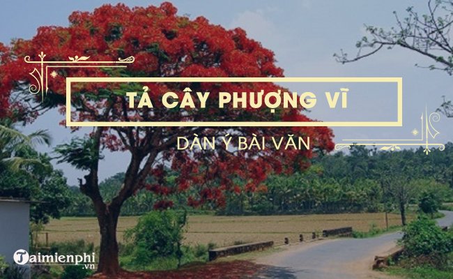 Outline for Describing the Flamboyant Tree for Grade 4 and 5 Students