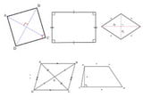 Diagram identifying different types of quadrilaterals: Square, rhombus ...
