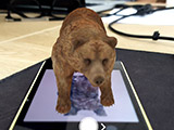 How to view 4D animal photos on your phone using Animal 4D+