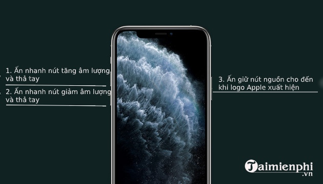 Resolving the iPhone 11 Pro Max Logo Freeze Issue