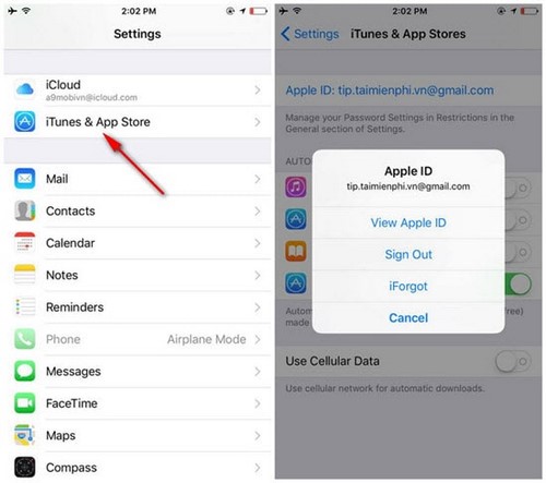 Common iOS App Store Errors: Causes and Solutions for iPhone and iPad
