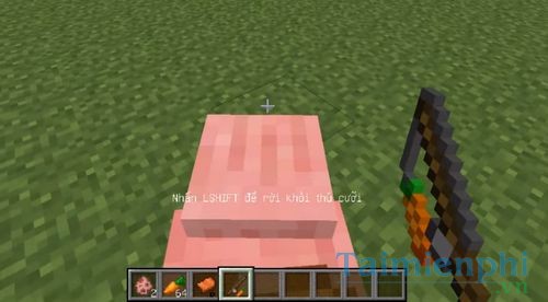 Mastering Pigback Riding in Minecraft