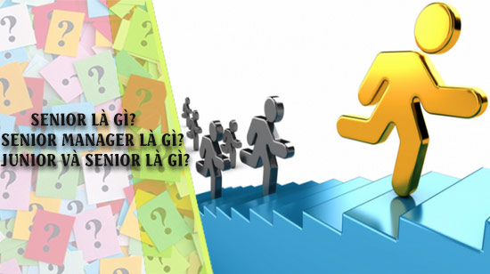 Understanding Seniority: Senior, Senior Managers, and Juniors