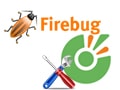 How to download FireBug for CocCoc?