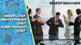 Understanding Seniority: Senior, Senior Managers, and Juniors