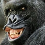 Beautiful Avatar Images, Unmatched in 2018