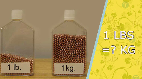 How much is 1 pound in kilograms?