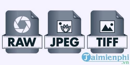 Exploring Similarities and Differences in JPEG, TIFF, and RAW Formats