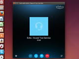 Installing Skype on Linux and Using It on Ubuntu