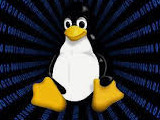 Guidelines for Installing Software and Applications on Linux