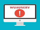 Understanding wuauserv: Fixing the issue of wuauserv high CPU usage on ...