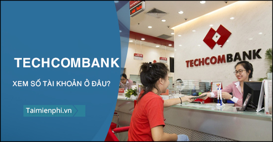 How to View Your Techcombank Account Number, Where to Check, How Many ...
