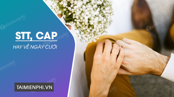 Great Wedding Status Updates: 99+ quotes, captions, and meaningful ...