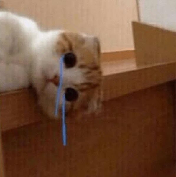 Compilation of Ridiculously Funny Helplessness Memes