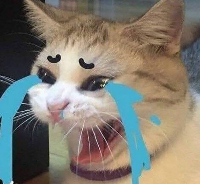 Compilation of Ridiculously Funny Helplessness Memes