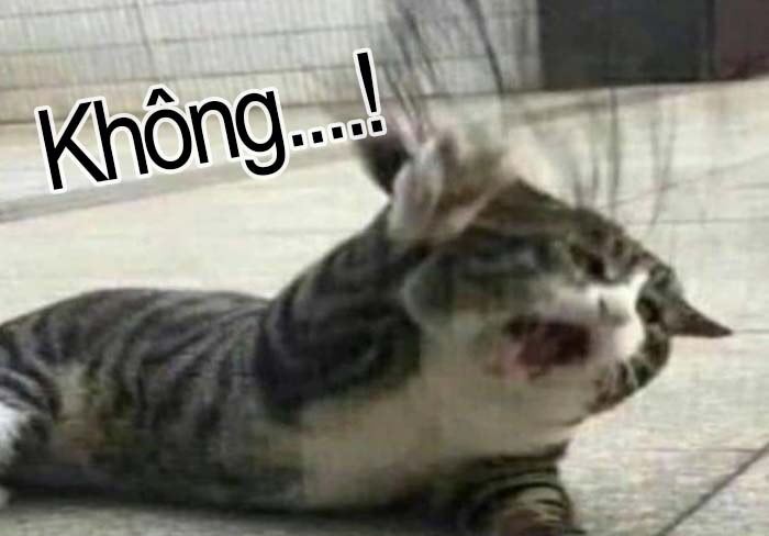 Compilation of Ridiculously Funny Helplessness Memes
