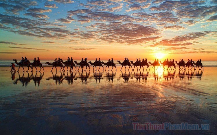 Captivating Quotes About Sunset - Stt, Sunset Status, Twilight Vibes